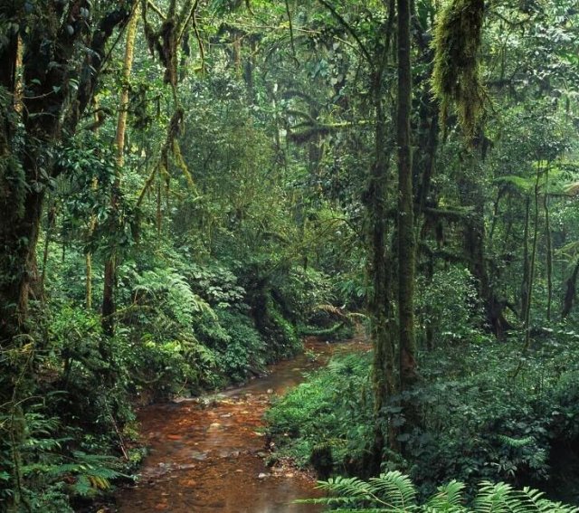 Reisetipps & Urlaubstipps | ab-in-den-urlaub.de Magazin