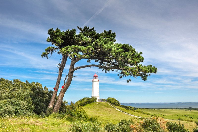 Hiddensee: Urlaub auf der Insel mit Kultur & Natur