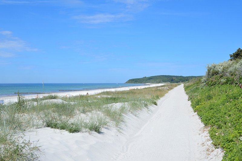 Hiddensee: Urlaub auf der Insel mit Kultur & Natur
