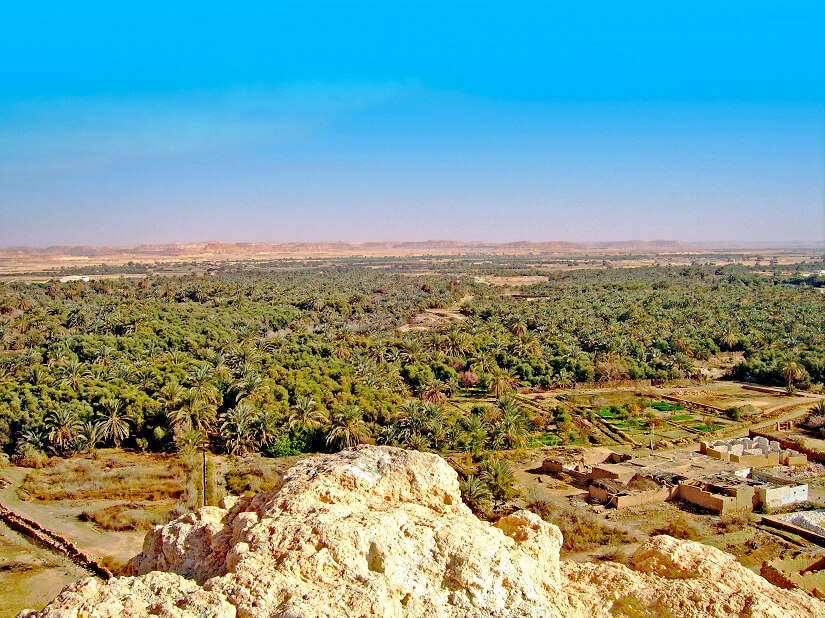 Top 10 Oasen - die schönsten Oasen weltweit als Reiseziel