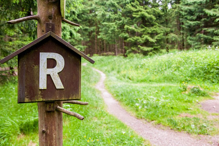 Rennsteig: Tipps zum Wandern im Thüringer Wald