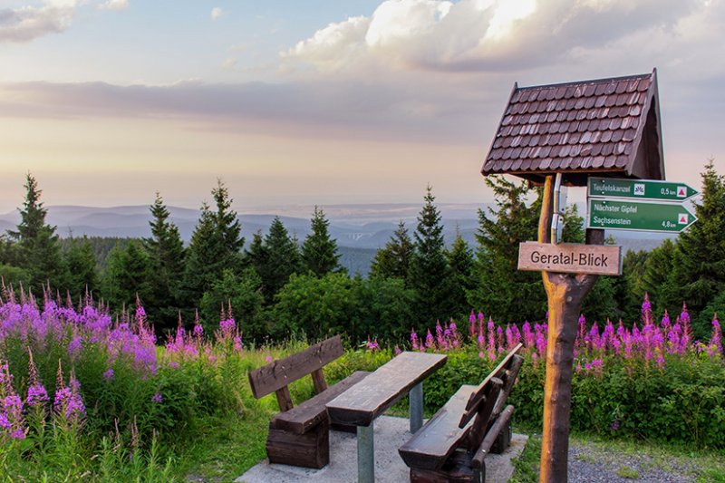 Rennsteig: Tipps zum Wandern im Thüringer Wald