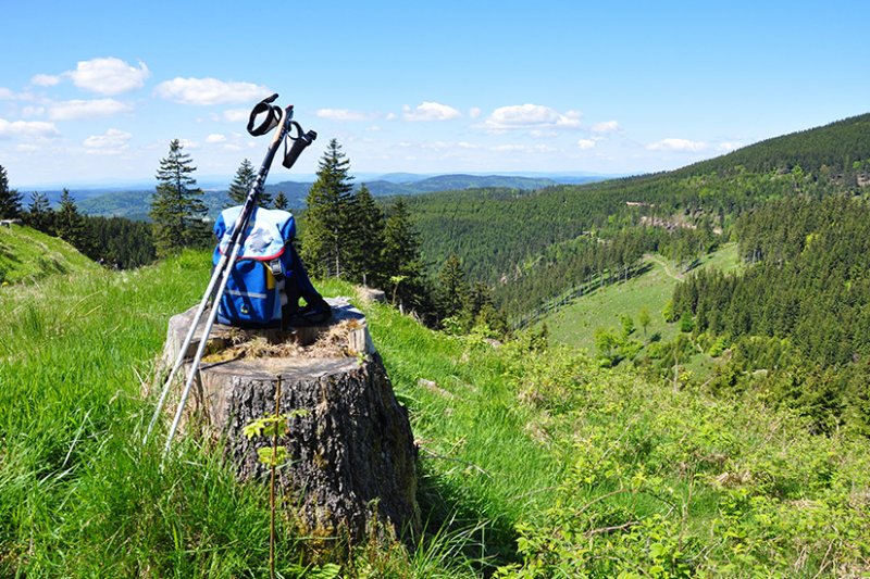 Rennsteig: Tipps zum Wandern im Thüringer Wald