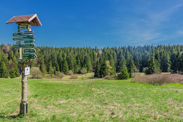 Rennsteig: Tipps zum Wandern im Thüringer Wald