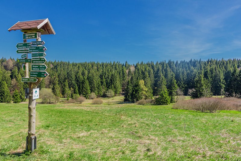 Rennsteig: Tipps zum Wandern im Thüringer Wald