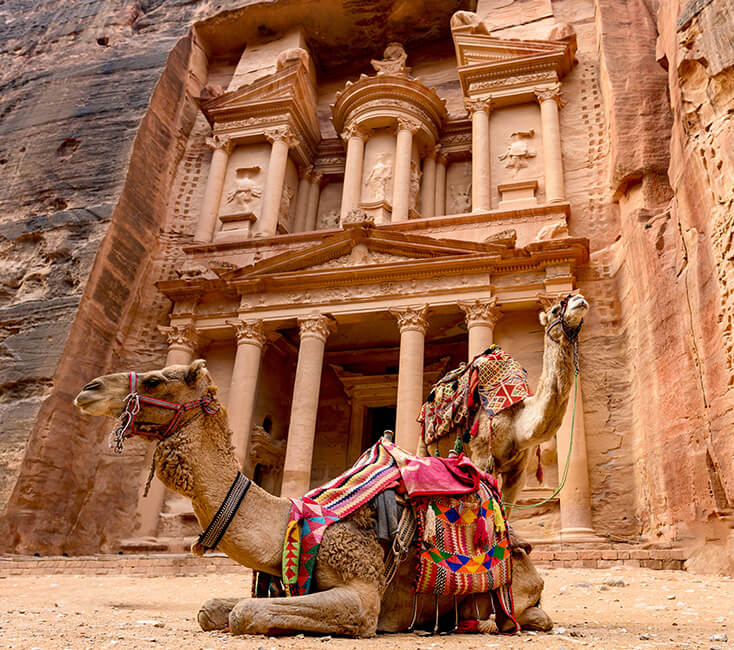 Foul Zugrunde richten Scheidung transformers petra jordan Schnabel ...