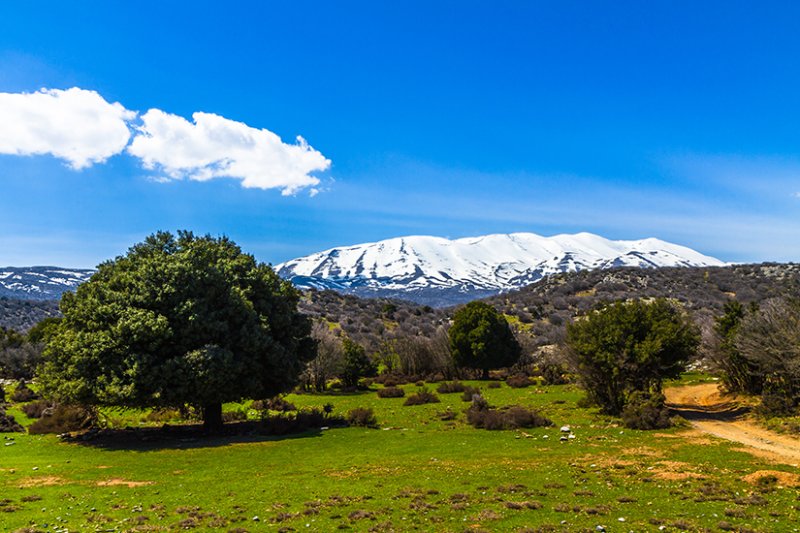Insel Kreta in Griechenland: Sehenswürdigkeiten & Kultur