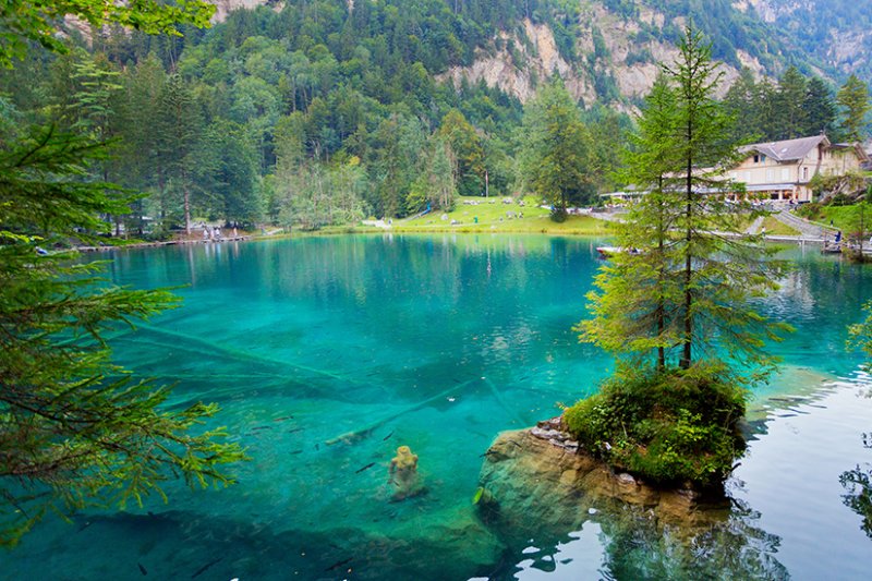 Blausee: Tipps & Infos für den Bergsee in der Schweiz