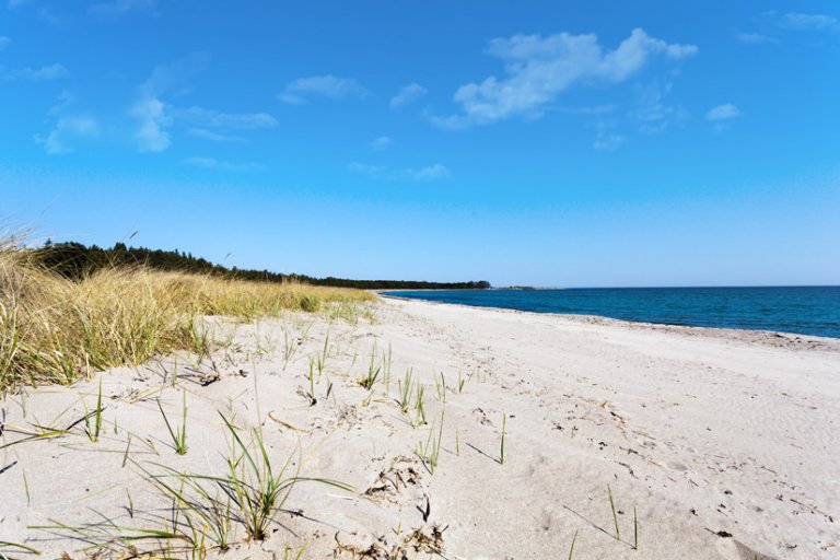 Gotland: Sehenswürdigkeiten & Tipps zur schwedischen Insel