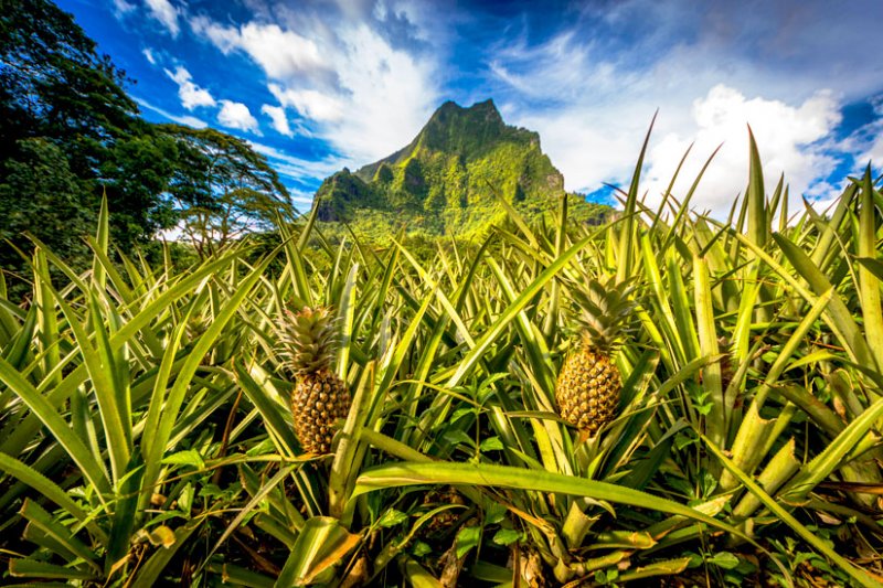 Moorea: Strände, Aktivitäten & Infos zur Südseeinsel