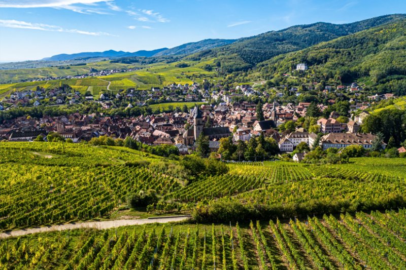 Das Elsass in Frankreich: Sehenswürdigkeiten & Infos