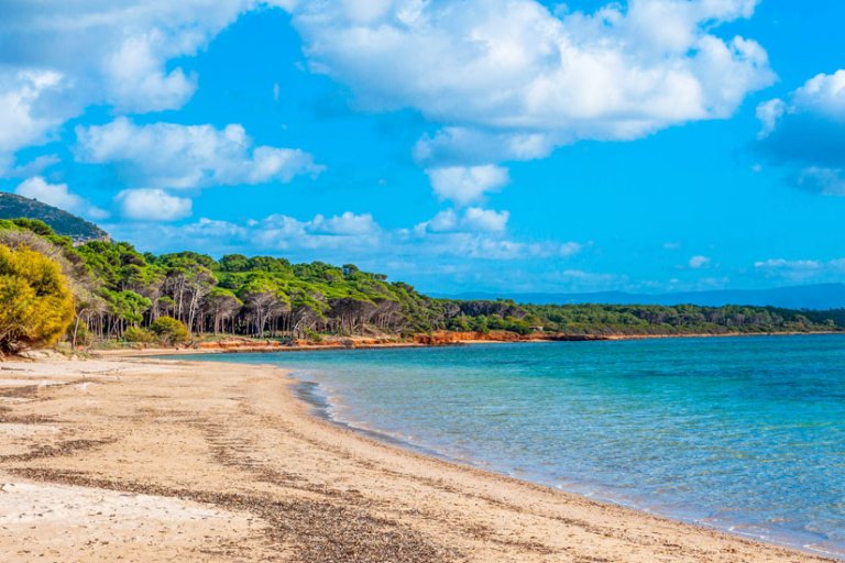 Alghero auf Sardinien: Sehenswürdigkeiten & Tipps zur Stadt