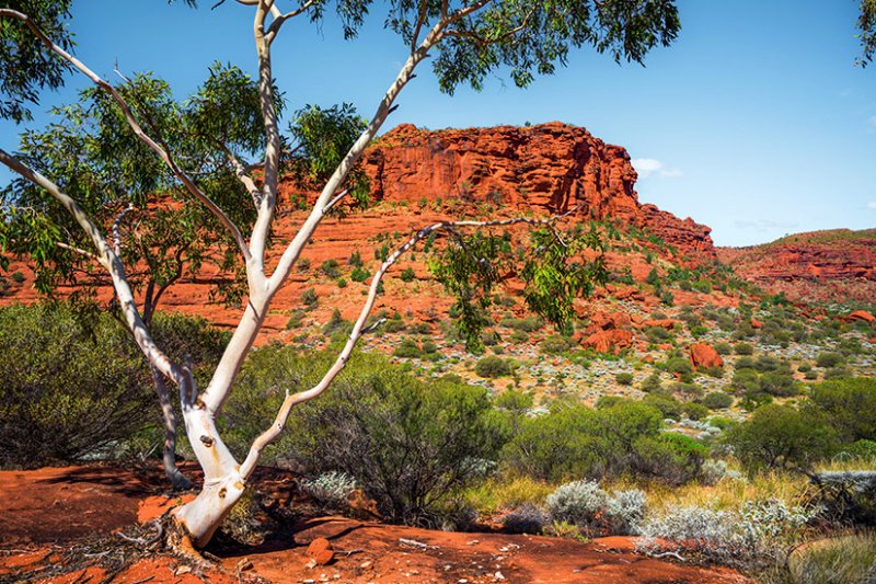 Outback in Australien: Sehenswürdigkeiten & Reisetipps