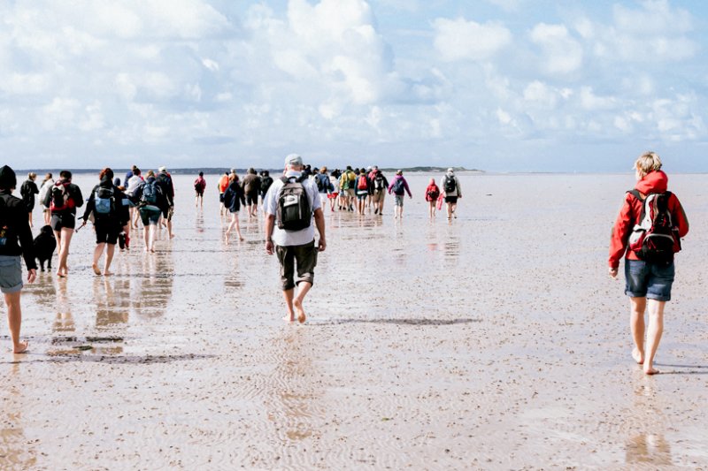 Wattenmeer: Nationalparks & Weltnaturerbe in der Nordsee