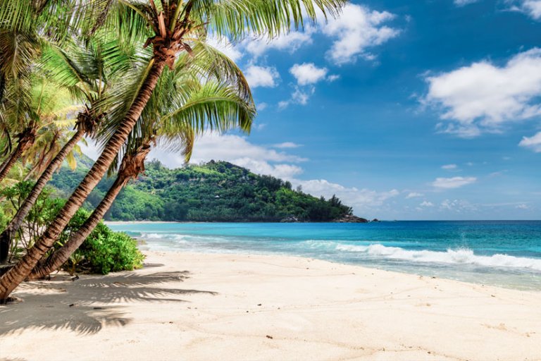 Jamaika Reisetipps Zur Insel Zum Staat In Der Karibik