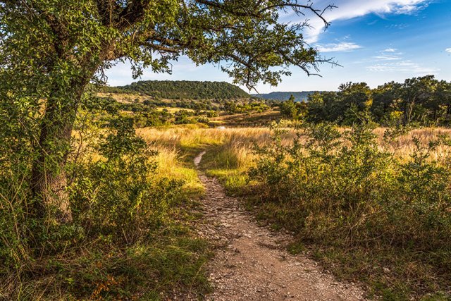 Austin in Texas: Reisetipps & die Top Sehenswürdigkeiten