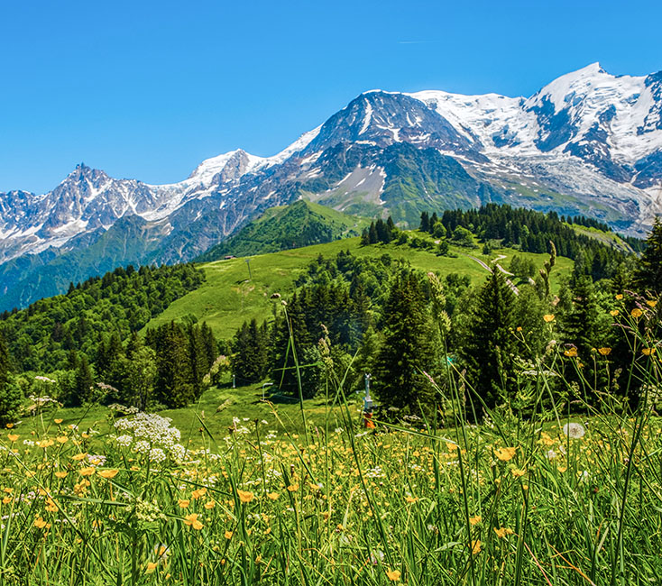 Urlaub in den Alpen: Tipps zum Reisen & günstig buchen!