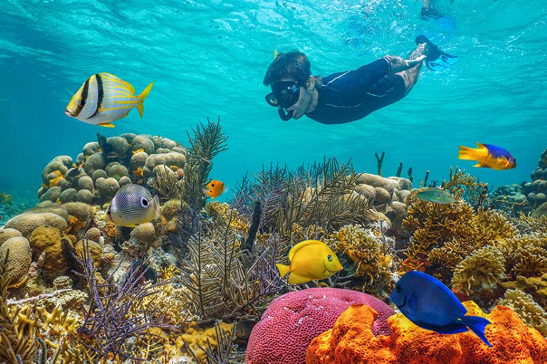 Anguilla: Die Inseln, Strände & Top Sehenswürdigkeiten