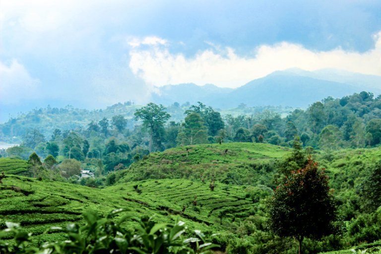 Java – Reisetipps für die indonesische Insel