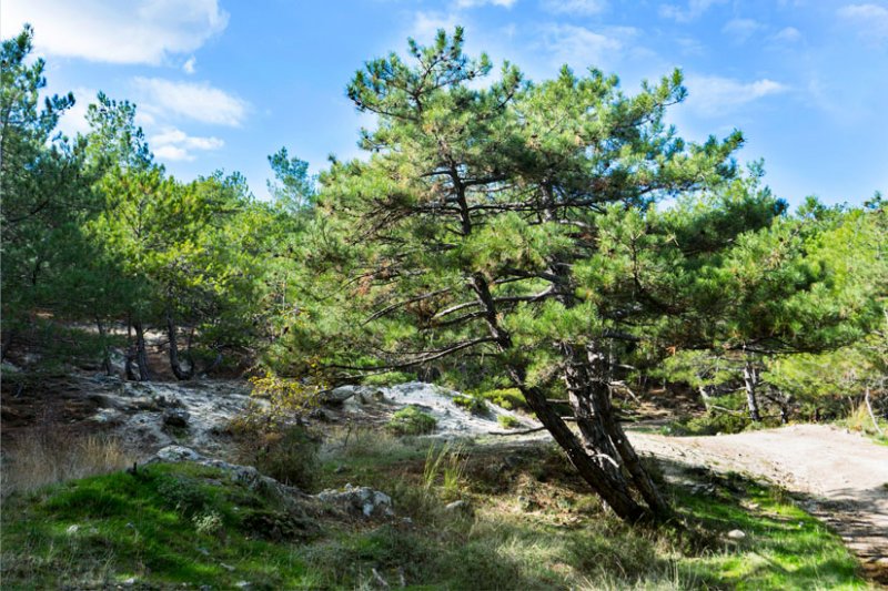 Alexandroupolis - griechische Hafenstadt in Thrakien