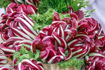 Treviso: Sehenswürdigkeiten & Tipps zur Stadt in Italien