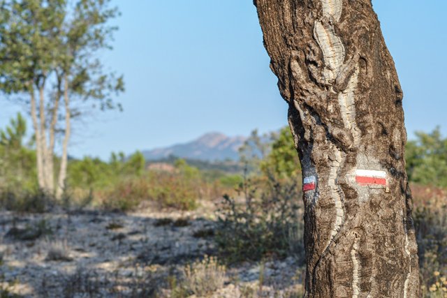 Orléans: Heimat von Jeanne d’Arc in Frankreich erleben