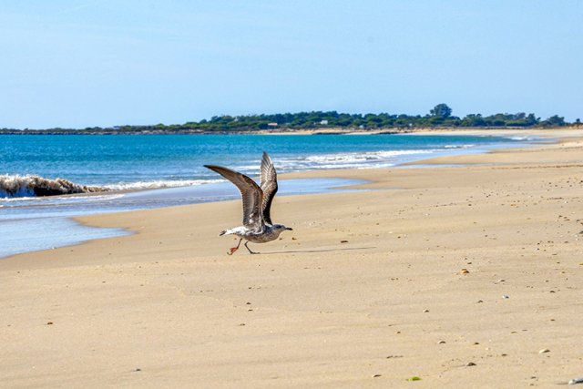 Tavira: Strände & Sehenswürdigkeiten im Süden Portugals