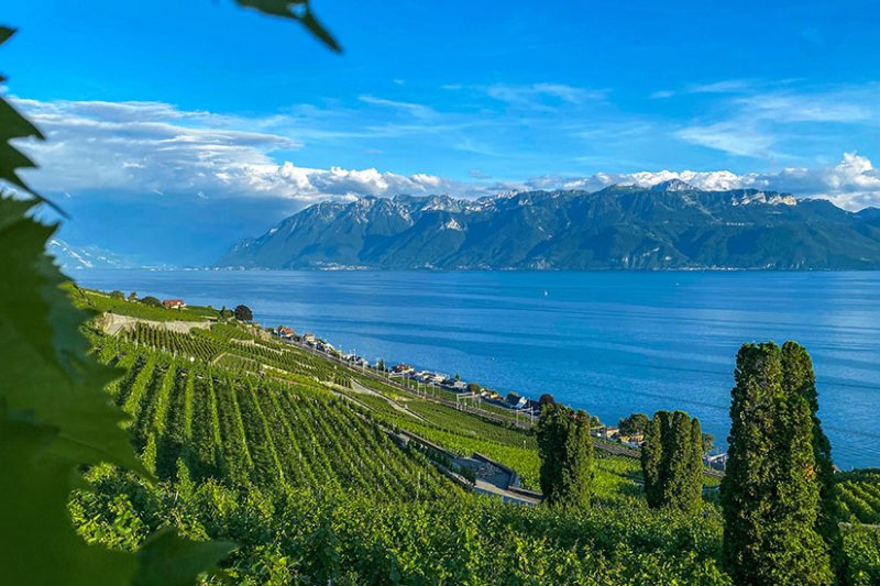 Lausanne in der Schweiz: Tipps zur Stadt am Genfersee