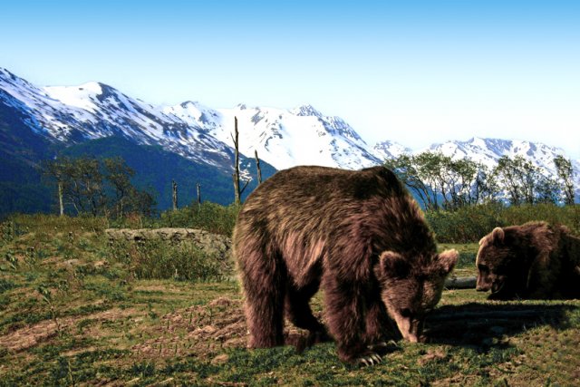 Anchorage – Reisetipps zur größten Stadt von Alaska