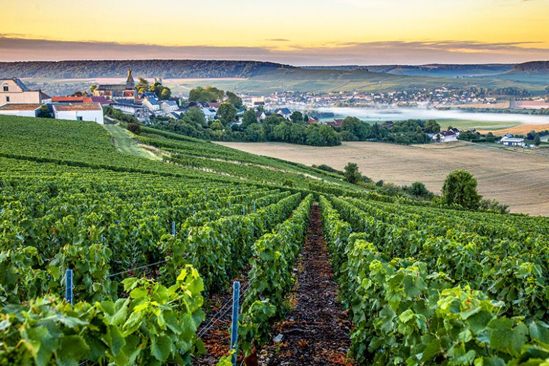 Reims: Frankreichs Stadt der Könige in der Champagne