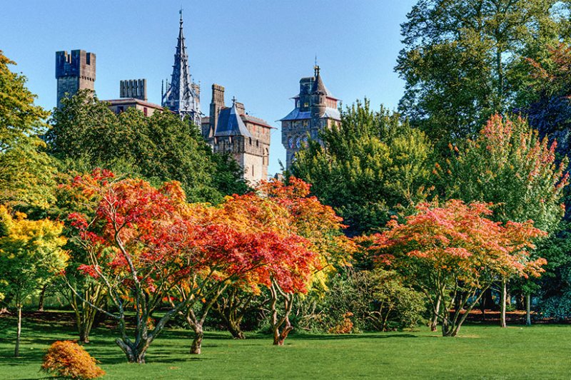 Cardiff: Top Sehenswürdigkeiten der Hauptstadt von Wales