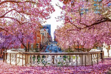 Baltimore in Maryland: Sehenswürdigkeiten & Geschichte