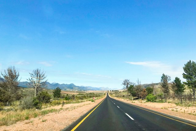 Port Elizabeth: Traumstrände von Gqeberha in Südafrika
