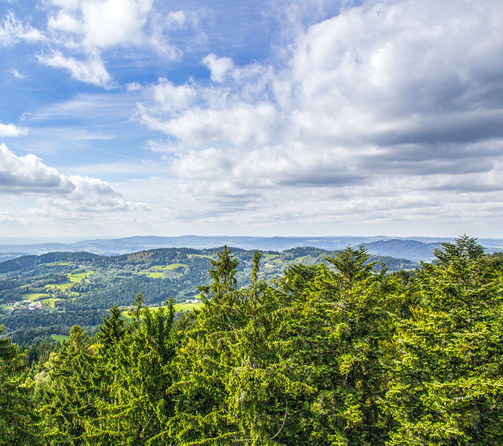 Bayerischer Wald: Sehenswürdigkeiten, Nationalpark & mehr