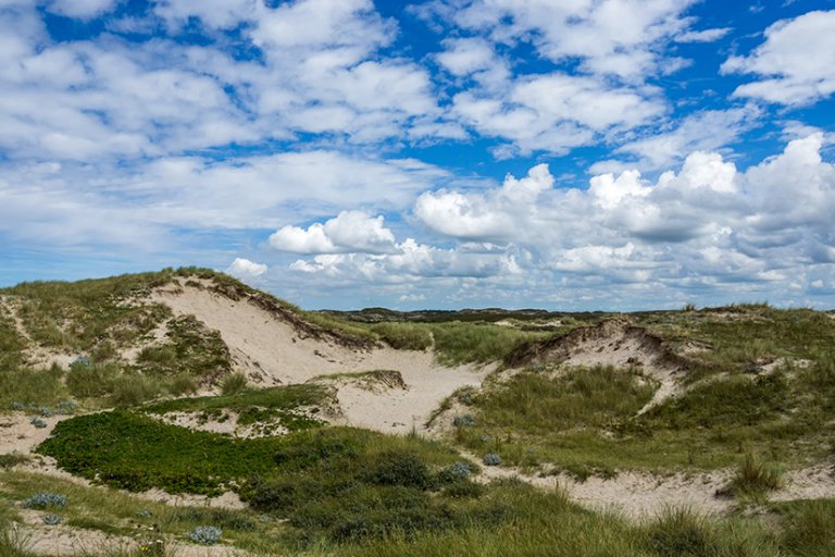Egmond aan Zee: Strand & Sehenswürdigkeiten im Badeort