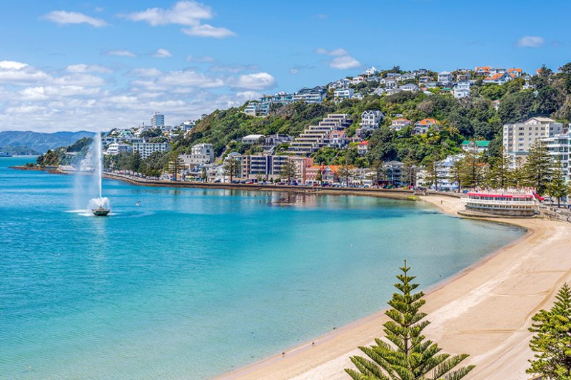 Wellington in Neuseeland: Sehenswürdigkeiten & Strände