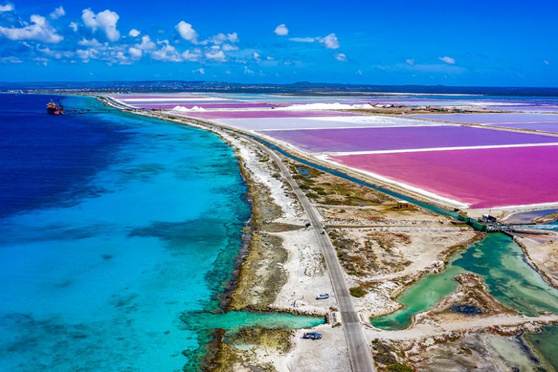 Bonaire: Insel in der Karibik mit Top Stränden & Natur