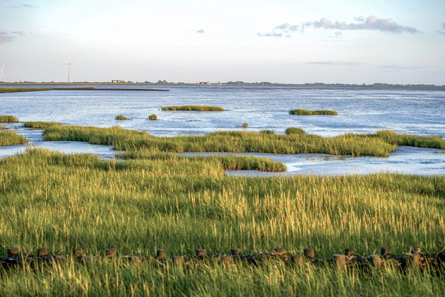 Husum: Sehenswürdigkeiten und Strand in der Husumer Bucht