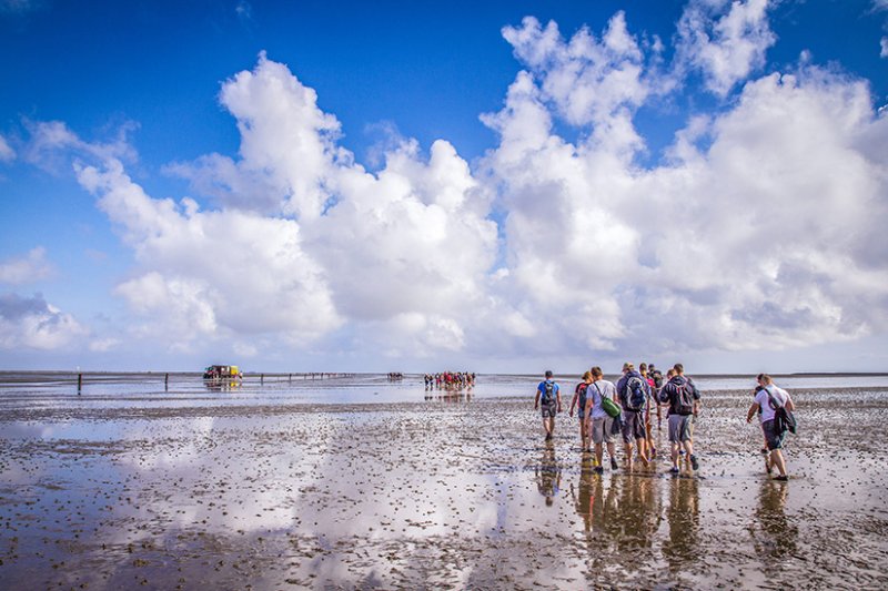 Husum: Sehenswürdigkeiten und Strand in der Husumer Bucht