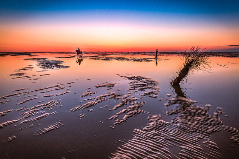 Husum: Sehenswürdigkeiten und Strand in der Husumer Bucht