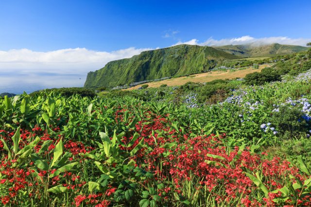 Flores: Tipps und Aktivitäten auf der Insel der Azoren