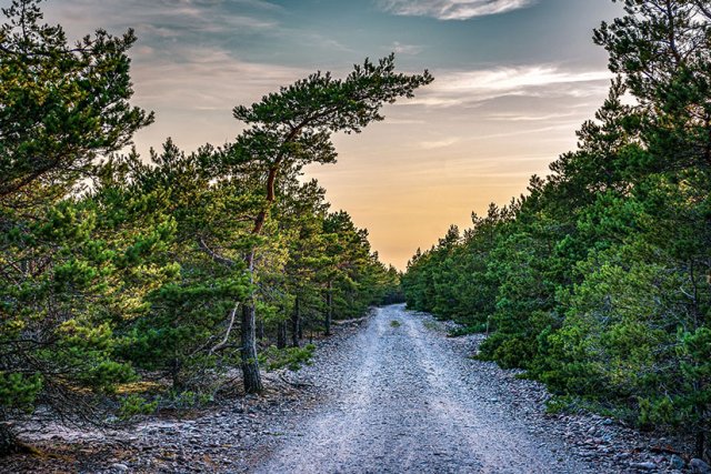 Saaremaa: Strände, Natur & Windmühlen auf Estlands Insel