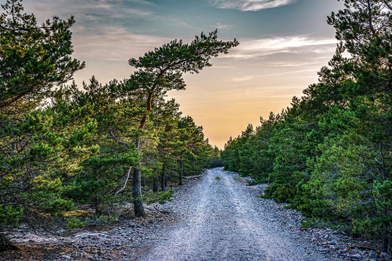 Saaremaa: Strände, Natur & Windmühlen auf Estlands Insel