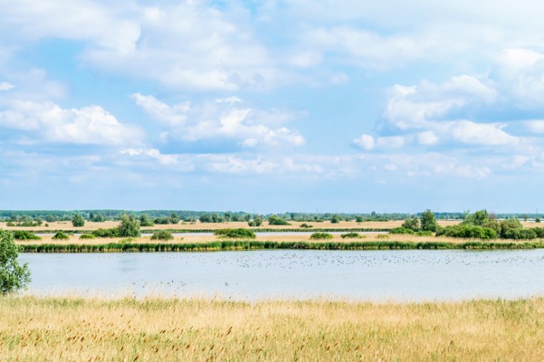 Markermeer in Holland: Strände und Aktivitäten an dem See