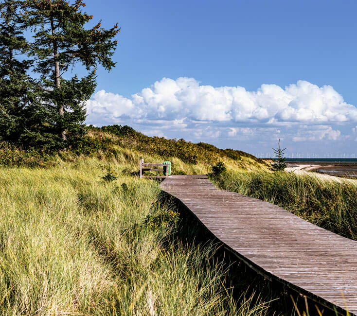 Insel Föhr – Südstrand, Fähre, Aktivitäten und mehr