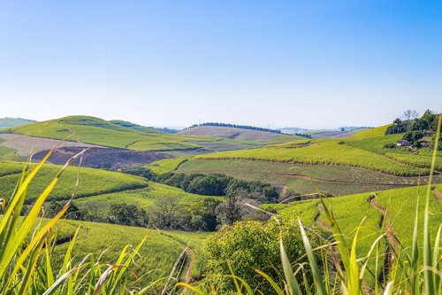 Durban: Top Sehenswürdigkeiten der Stadt in Südafrika