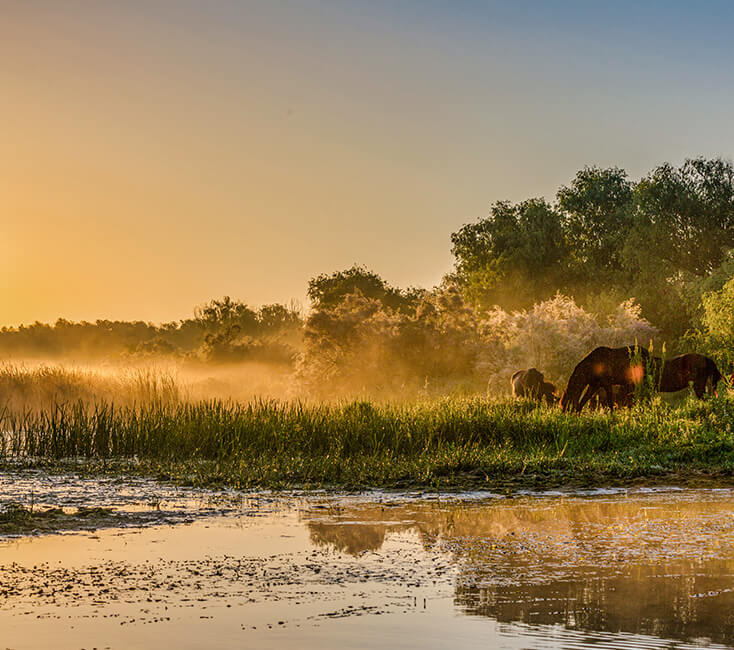 Donaudelta in Rumänien: Karte und Biosphärenreservat
