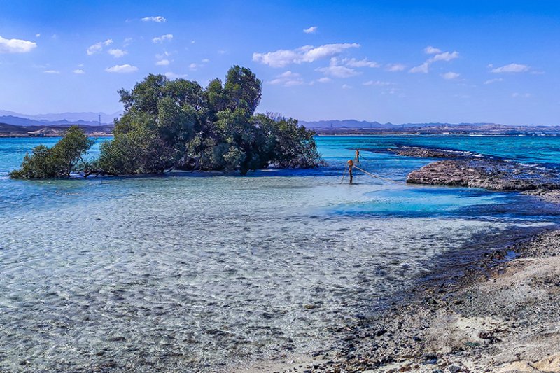 Wadi el Gemal Reserve: National Park, Safari und Ausflug