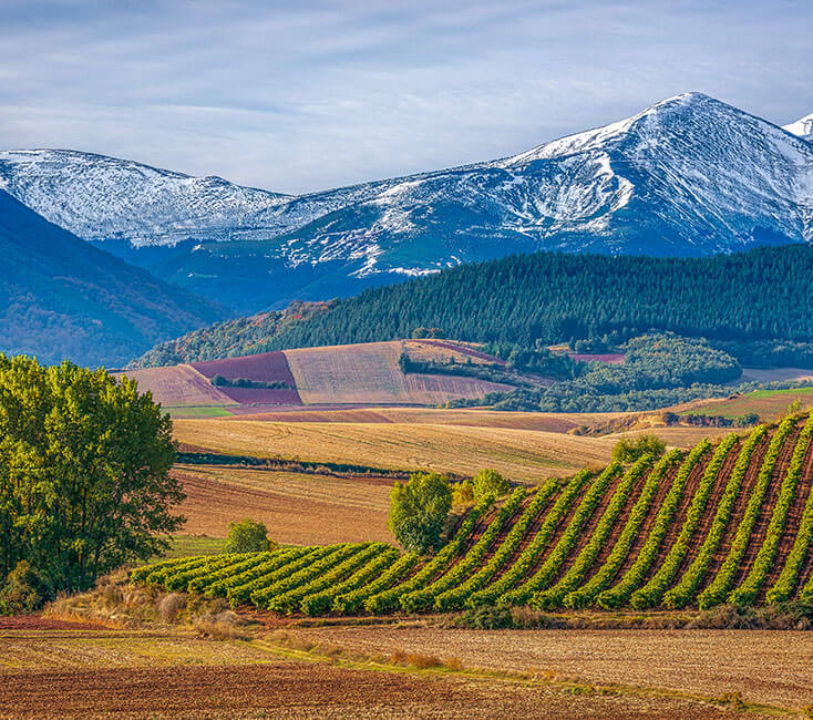 La Rioja in Spanien: Landschaft, Weinbau und Aktivitäten