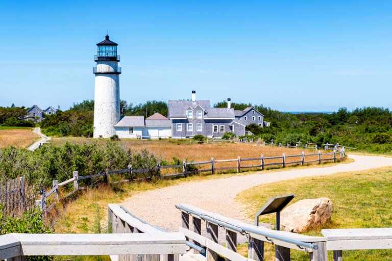 Cape Cod in den USA: Whale Watching in Massachusetts